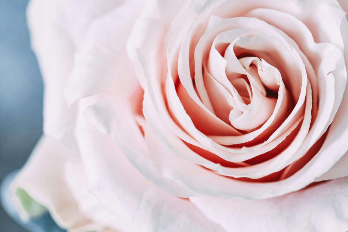Everyday Floral Designs – Creative Cove Designs